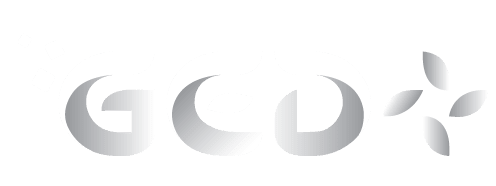 Nos Projets Web | GEDPLUS